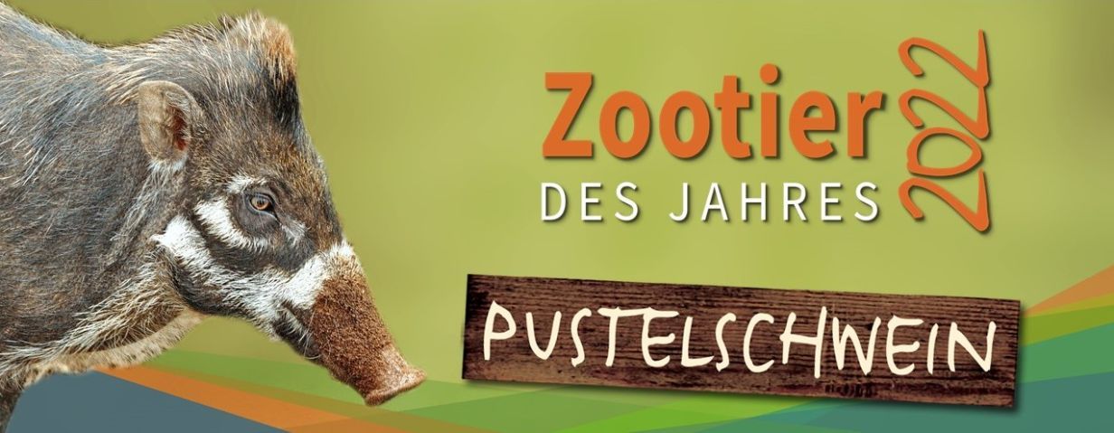 ZGAP - Hilfe für unbekannte hochbedrohte Arten - Home